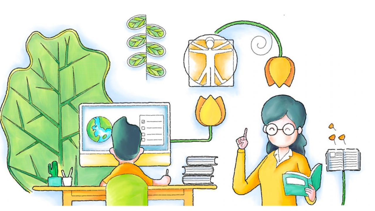 Nexterp Demo For Examination Module School Management